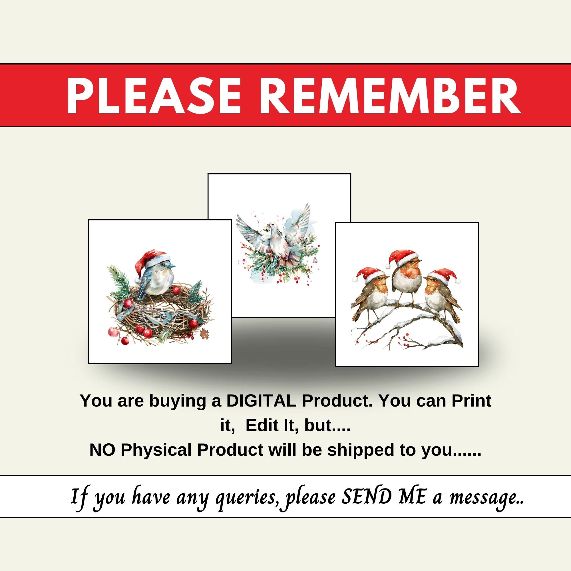 Christmas Birds Clipart, Christmas Clipart PNG Bundle, 35 PNG Christmas ...