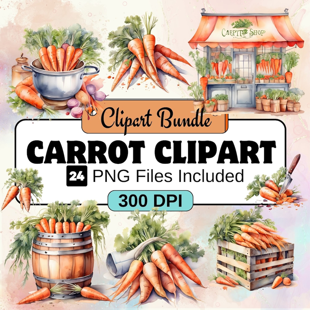 Carrot Clipart, Food Clipart PNG Bundle, 24 PNG Vegetables Clipart ...
