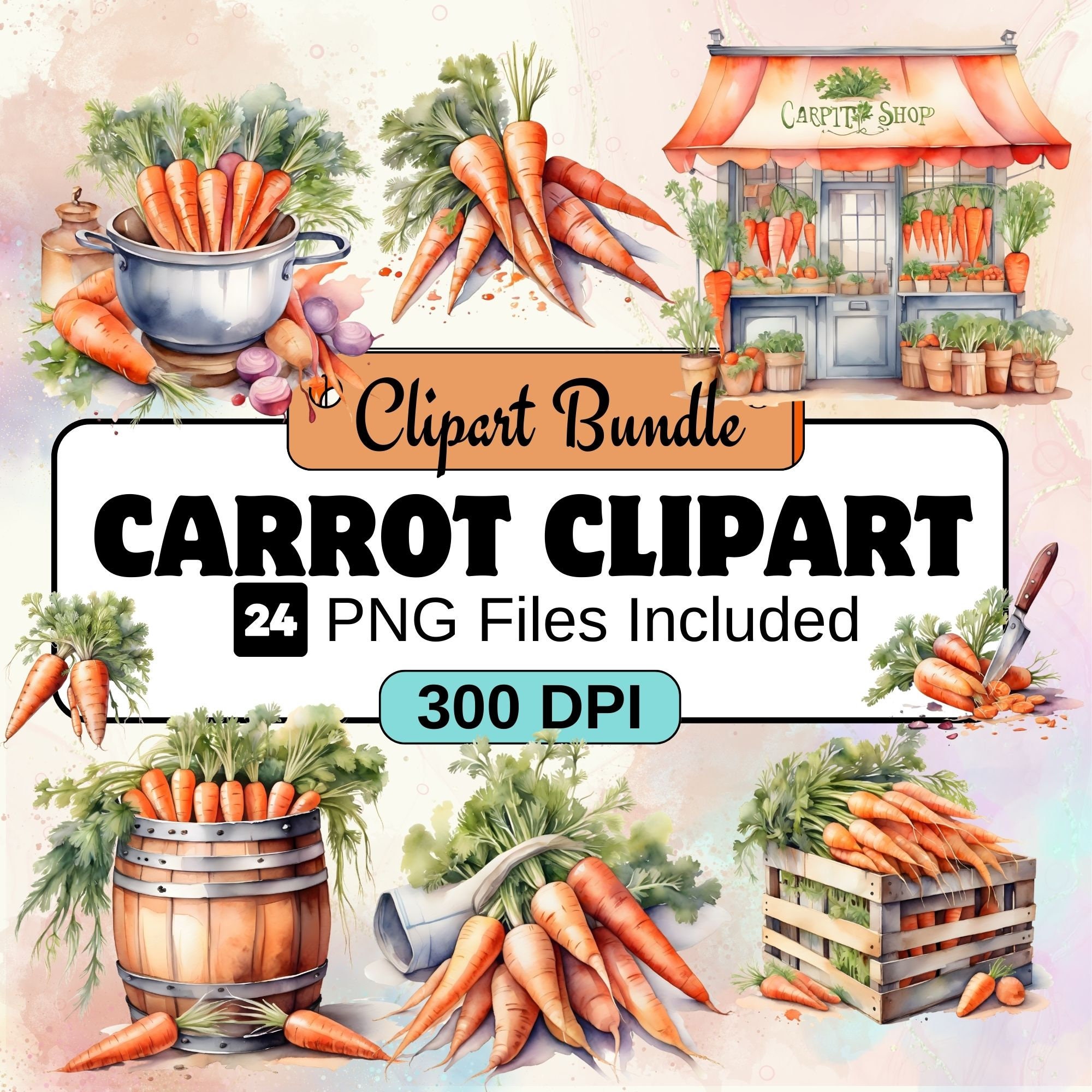 Carrot Clipart, Food Clipart PNG Bundle, 24 PNG Vegetables Clipart ...