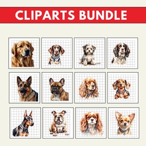 Dog Breed Clipart, Dog Clipart PNG Bundle, 30 PNG Puppy Dog Clipart ...