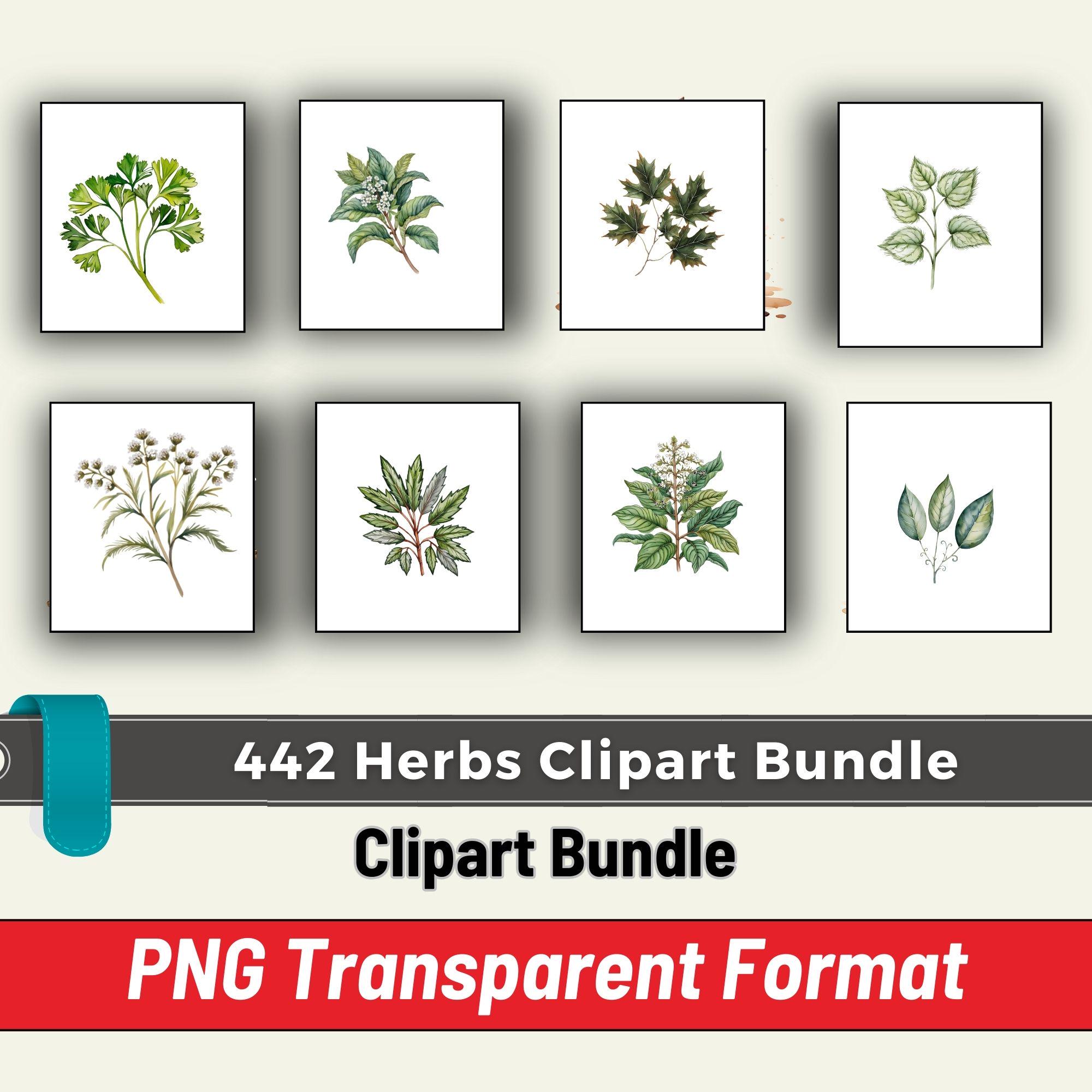 Watercolor Herbs Clipart, Botanical Clipart PNG Bundle, 442 PNG Herbs ...