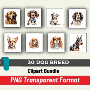 Dog Breed Clipart, Dog Clipart PNG Bundle, 30 PNG Puppy Dog Clipart ...