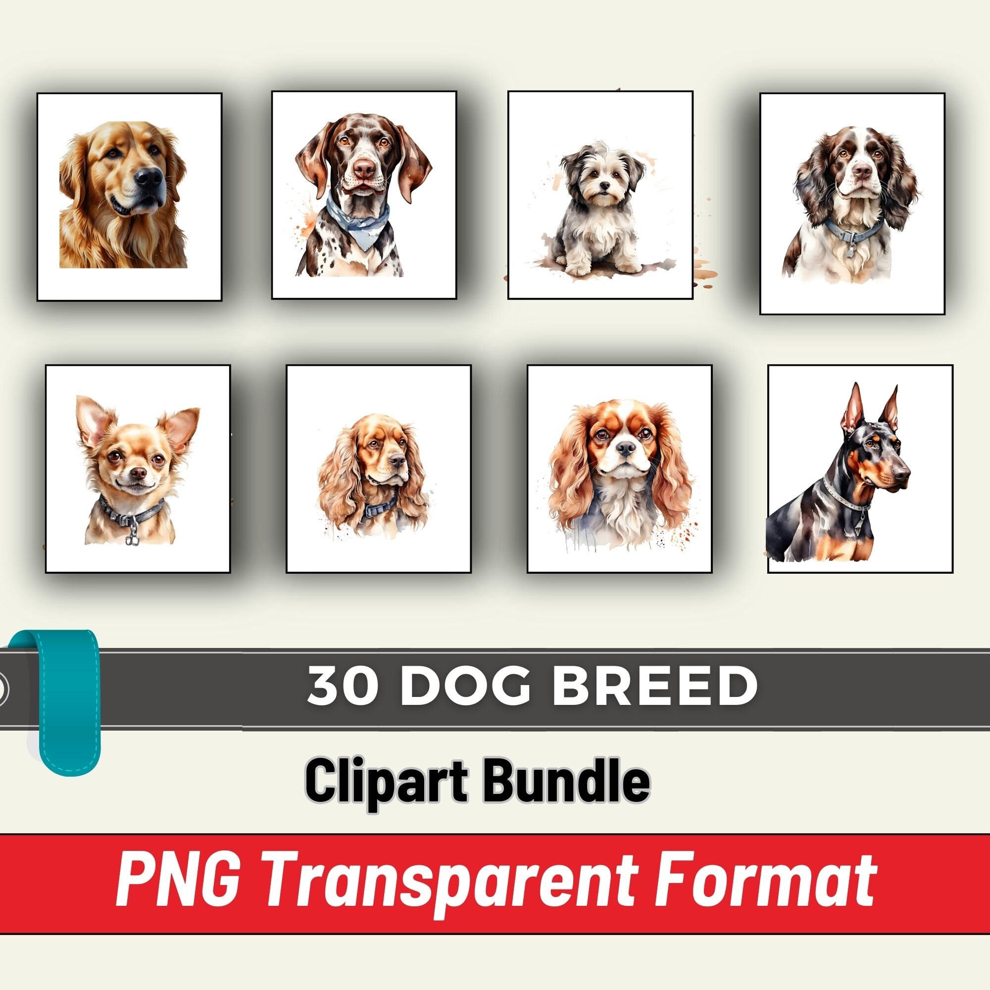 Dog Breed Clipart, Dog Clipart PNG Bundle, 30 PNG Puppy Dog Clipart ...