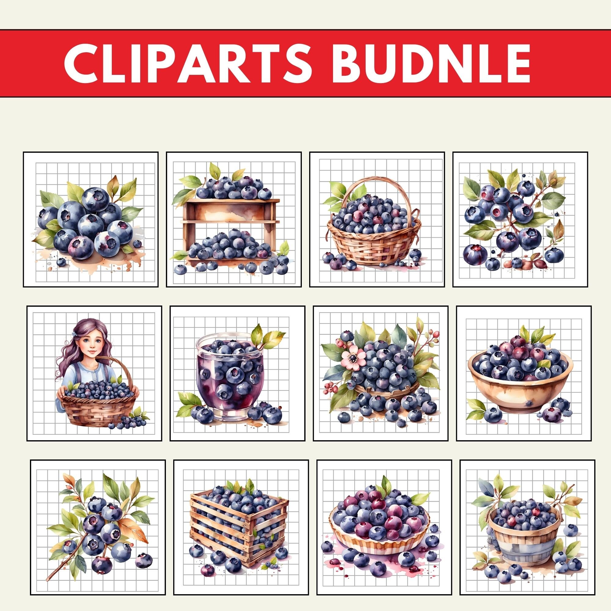 Blueberry Clipart, Delightful Blueberry PNG Bundle, 24 PNG Blueberry ...
