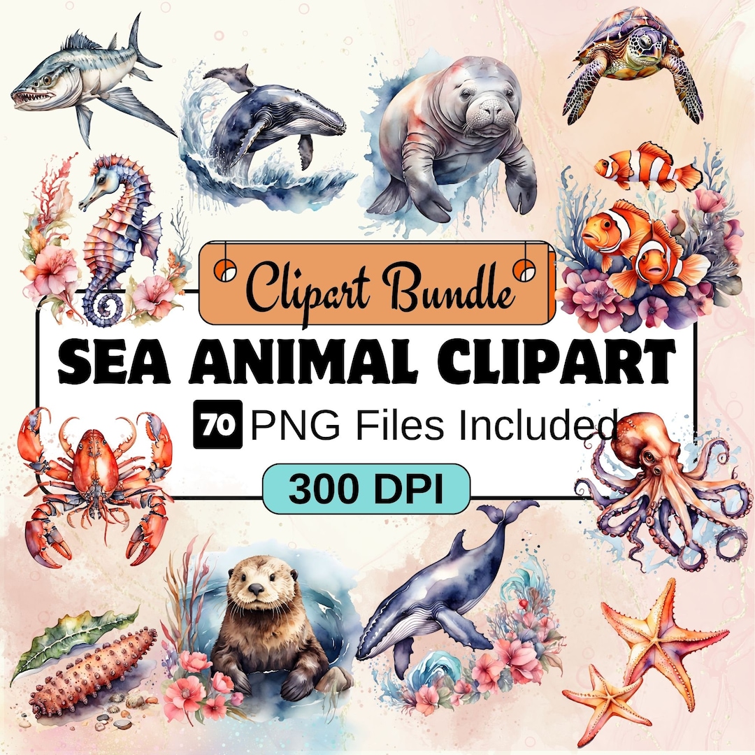 Sea Animal Clipart, Animal Clipart PNG Bundle, 70 PNG Sea Animal ...