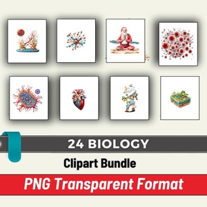 Biology Clipart, Study Clipart PNG Bundle, 24 PNG Biology Clipart ...