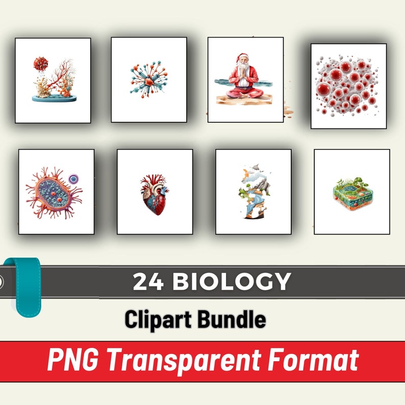 Biology Clipart, Study Clipart PNG Bundle, 24 PNG Biology Clipart ...