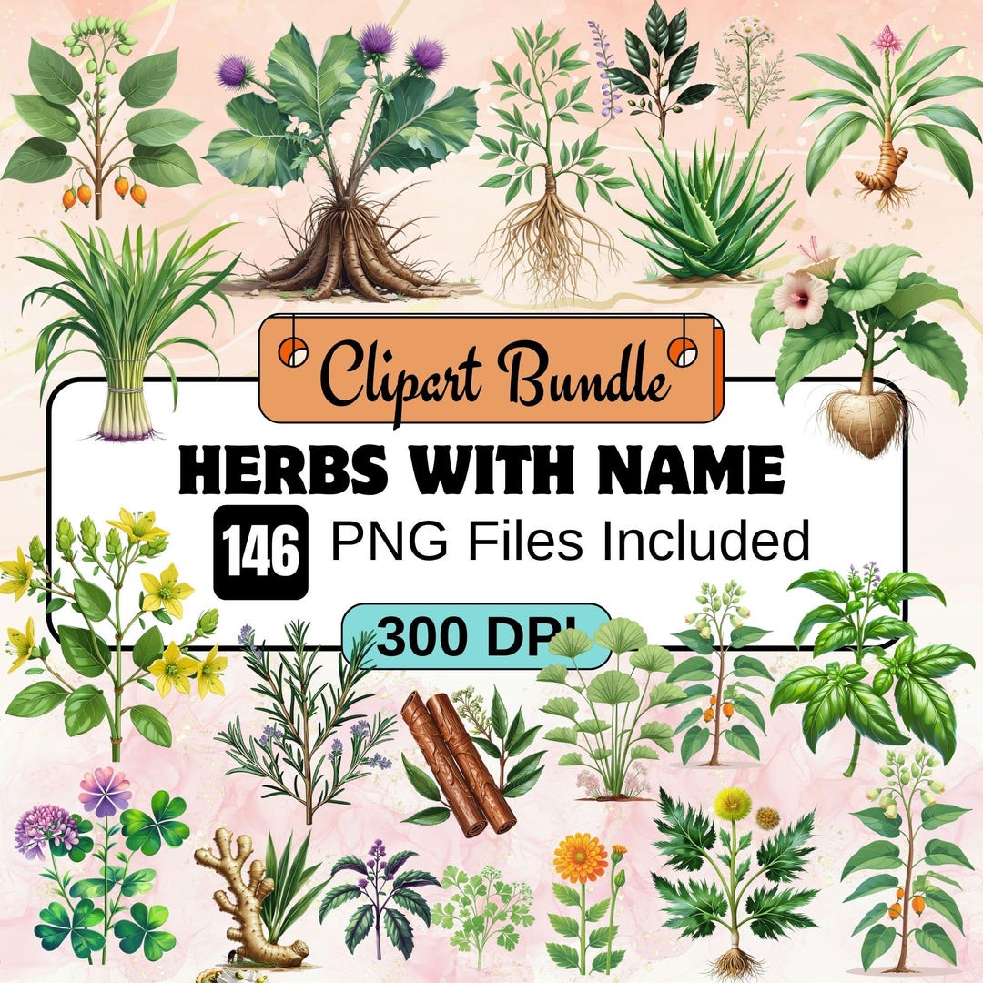 146medicinal Herbs With Name Clipart,watercolor Herbs PNG Bundle ...