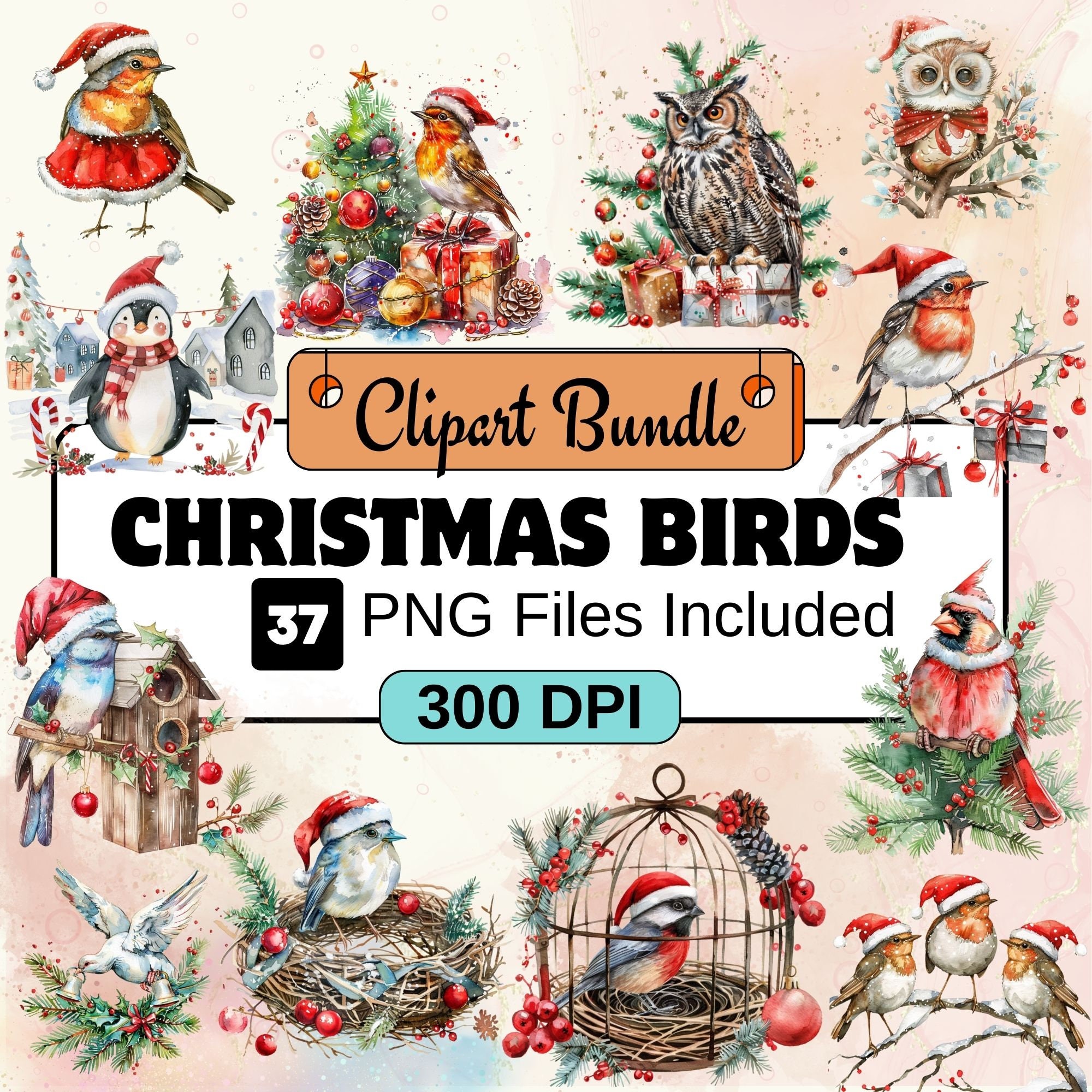 Christmas Birds Clipart, Christmas Clipart PNG Bundle, 35 PNG Christmas ...
