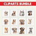 Dog Breed Clipart, Dog Clipart PNG Bundle, 30 PNG Puppy Dog Clipart ...