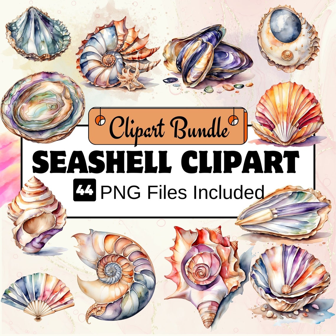 Seashell Clipart, Animal Clipart PNG Bundle, 44 PNG Seashell Clipart ...