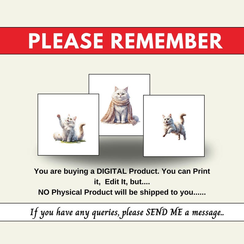 White Cats Clipart Bundle White Cat PNG White Cat Images Elegant Feline ...