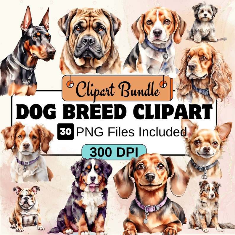 Dog Breed Clipart, Dog Clipart PNG Bundle, 30 PNG Puppy Dog Clipart ...