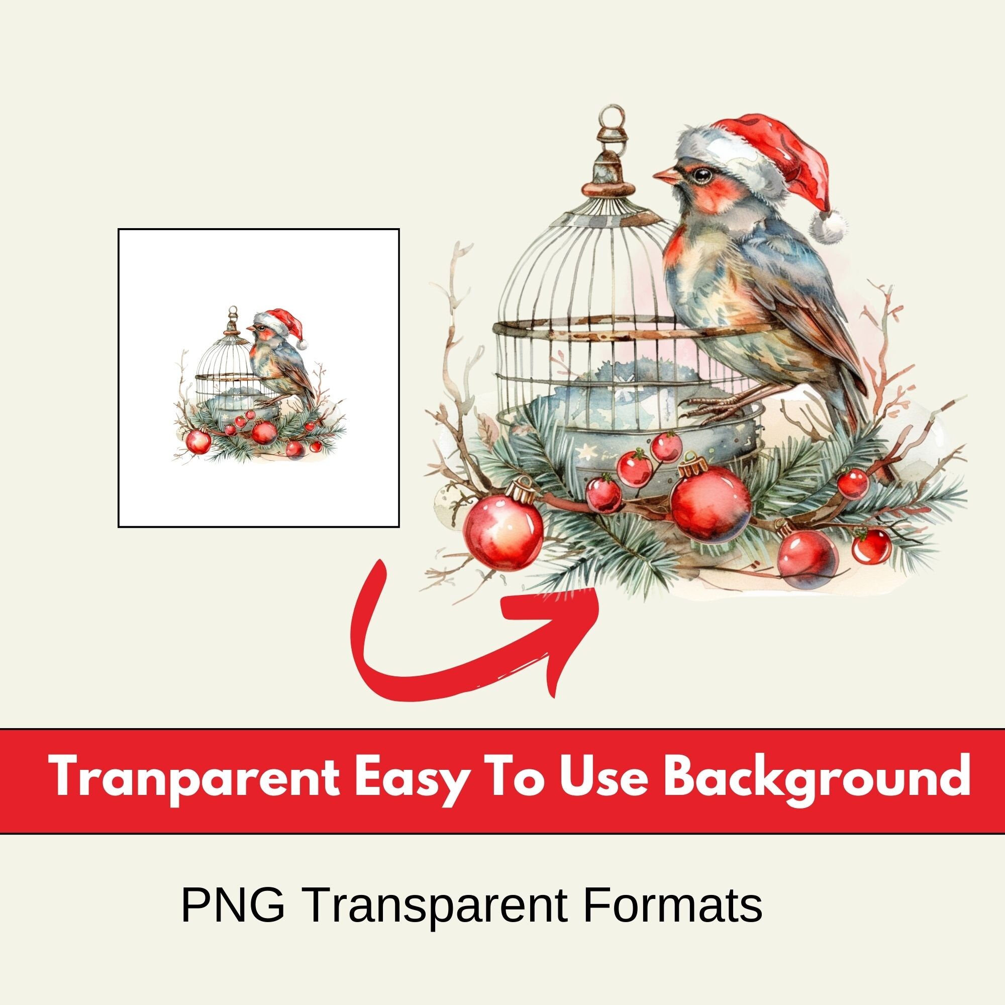 Christmas Birds Clipart, Christmas Clipart PNG Bundle, 35 PNG Christmas ...
