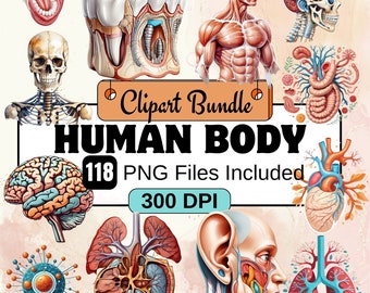Human Body Systems Anatomy Clipart Bundle PNG Instant Download 0032 ...