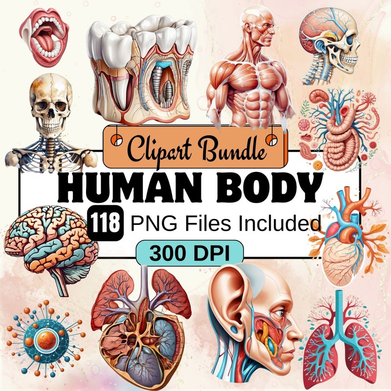 People Body Clipart - Etsy