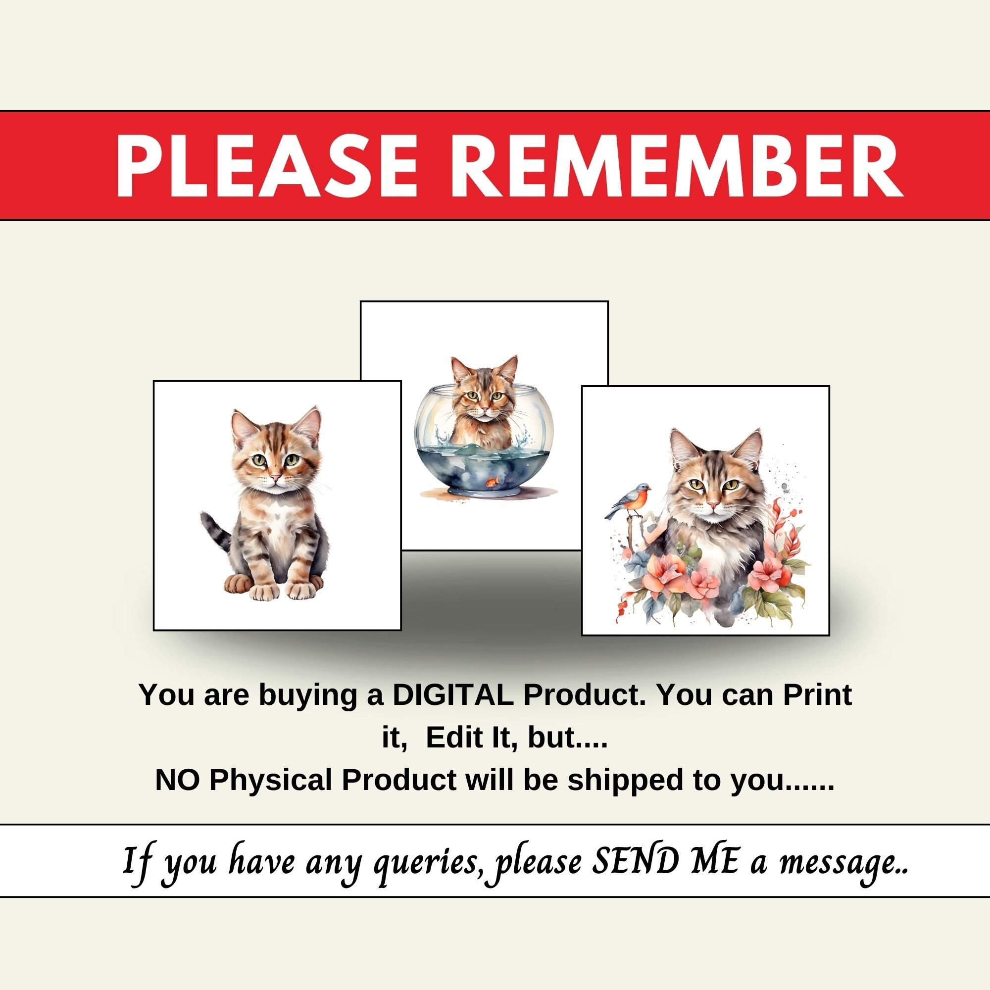 Cat Clipart, Animal Clipart PNG Bundle, 60 PNG Cat Clipart Bundle ...