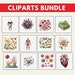 Biology Clipart, Study Clipart PNG Bundle, 24 PNG Biology Clipart ...