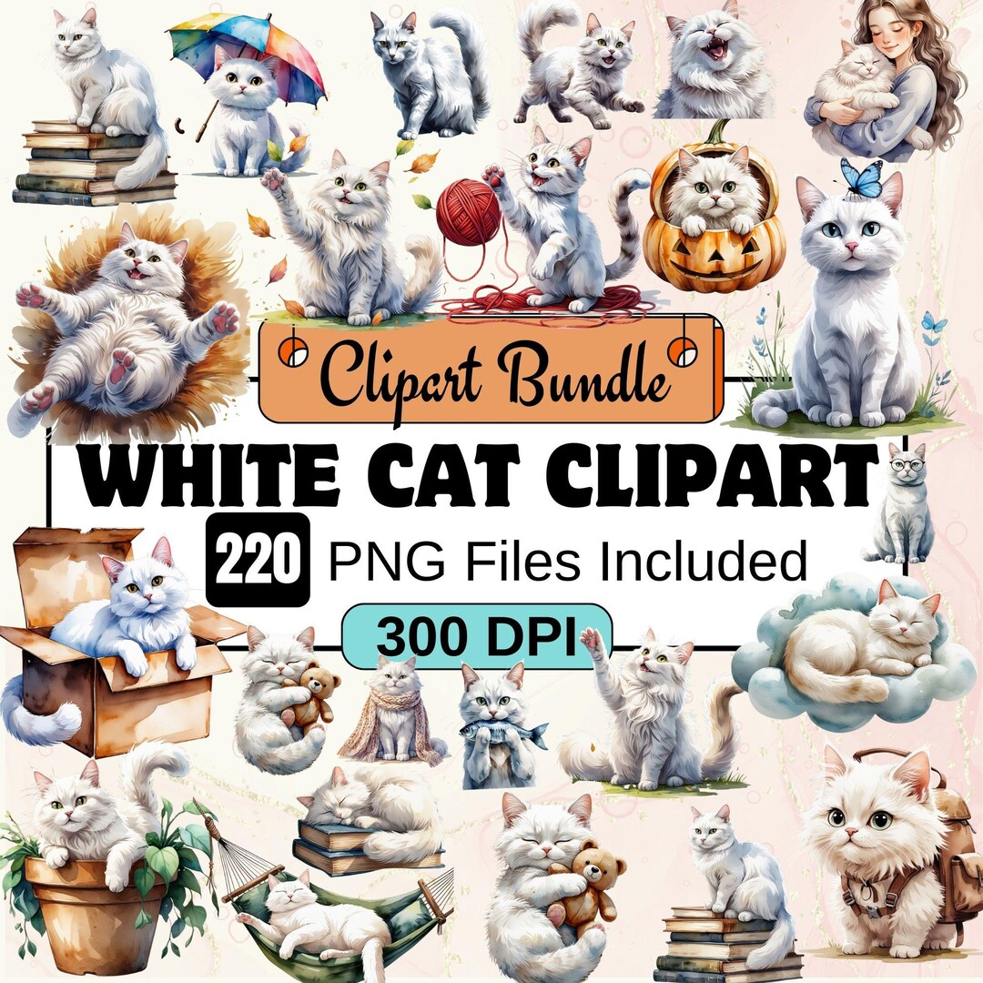 White Cats Clipart Bundle White Cat PNG White Cat Images Elegant Feline ...