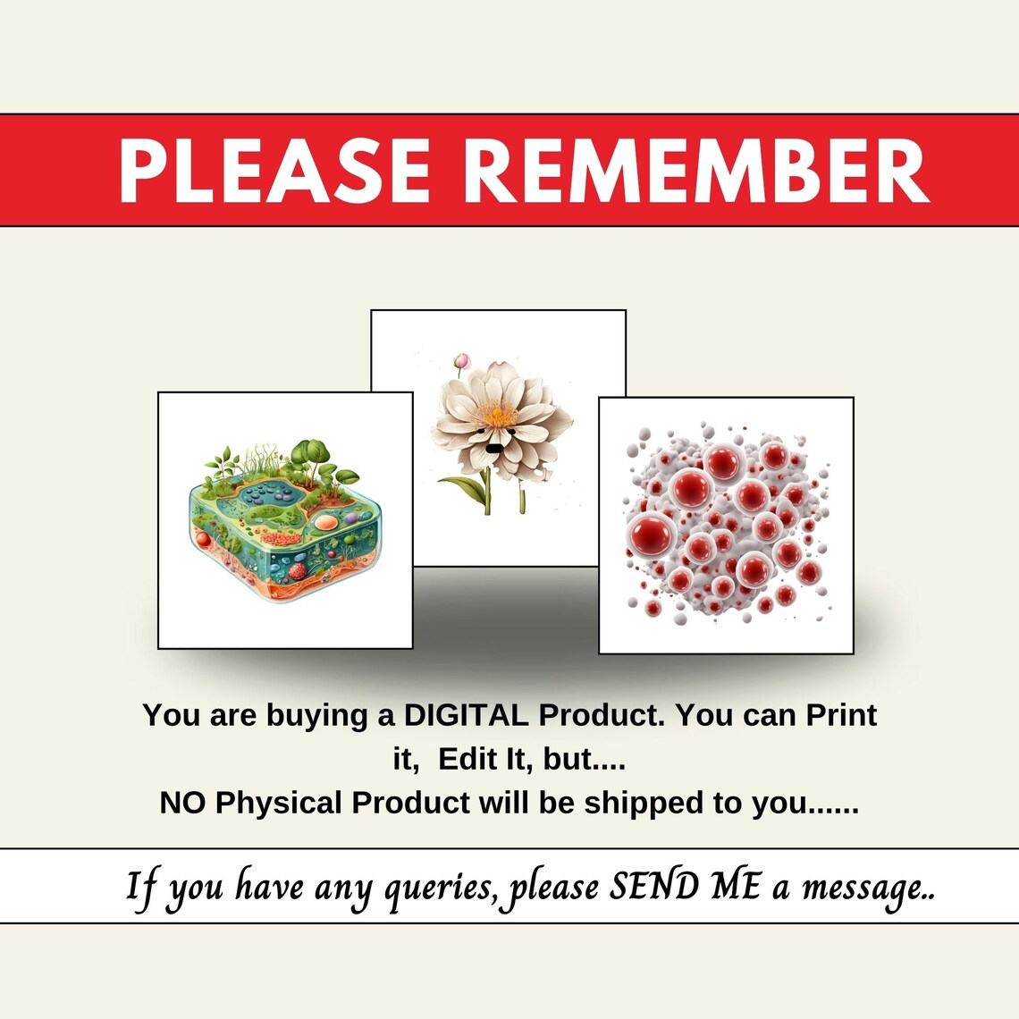 Biology Clipart, Study Clipart PNG Bundle, 24 PNG Biology Clipart ...