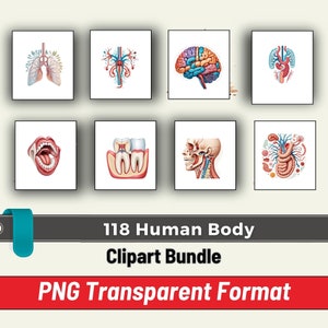 Human Body Clipart, Body Clipart PNG Bundle, 118 PNG Human Body Clipart ...