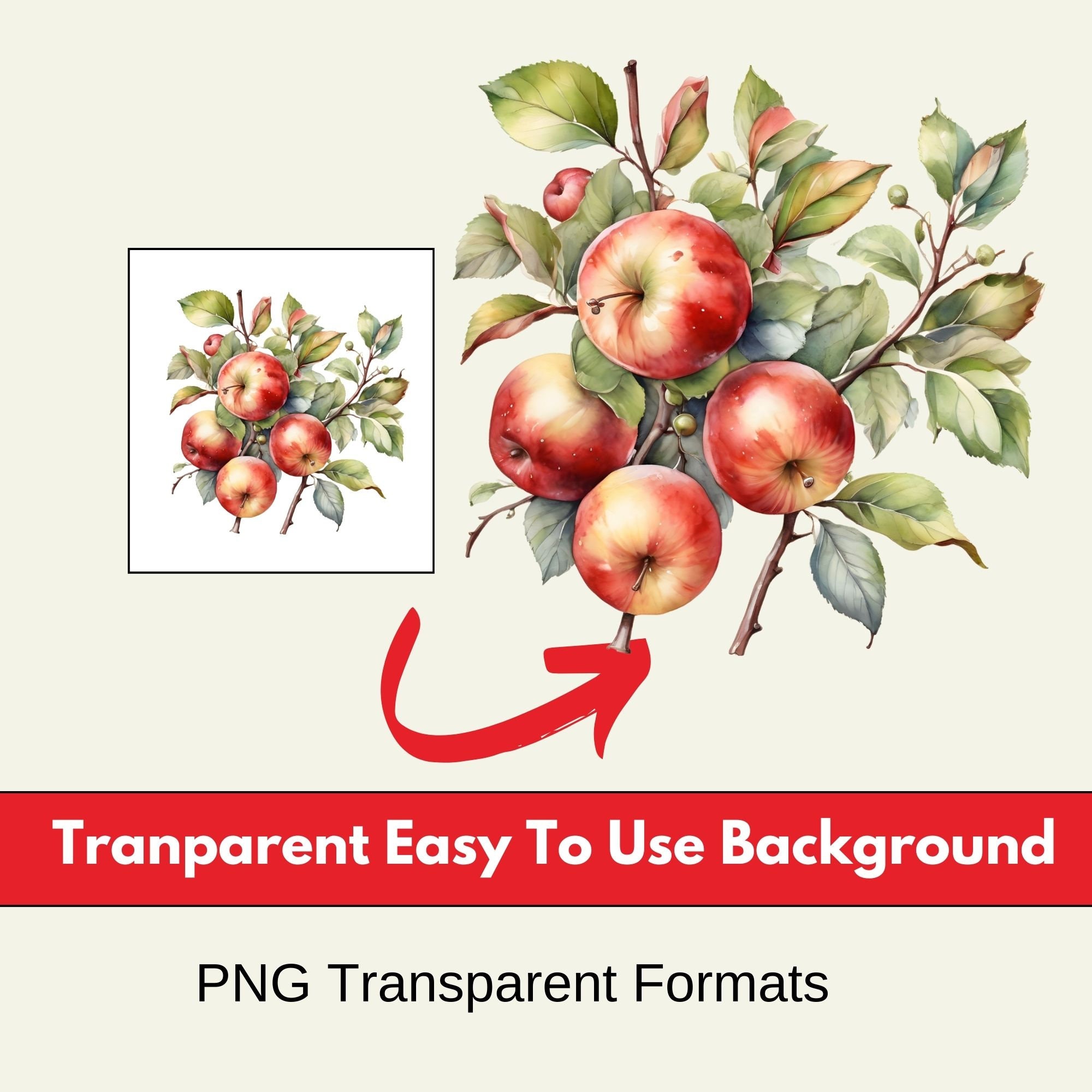 Apple Clipart, Apple Watercolor Clipart Bundle, 24 PNG Apple Clipart ...