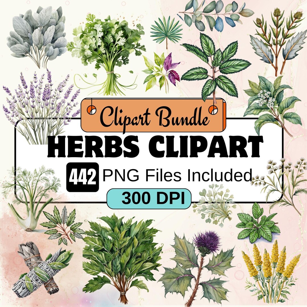 Watercolor Herbs Clipart, Botanical Clipart PNG Bundle, 442 PNG Herbs ...