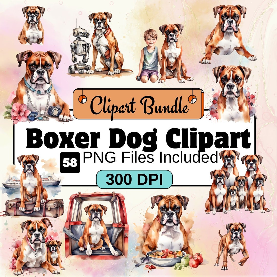 Boxer Dog Clipart, Dog Clipart PNG Bundle, 24 PNG Boxer Dog Clipart ...