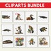 Alligator Clipart, Animal Clipart PNG Bundle, 36 PNG Alligator Clipart ...