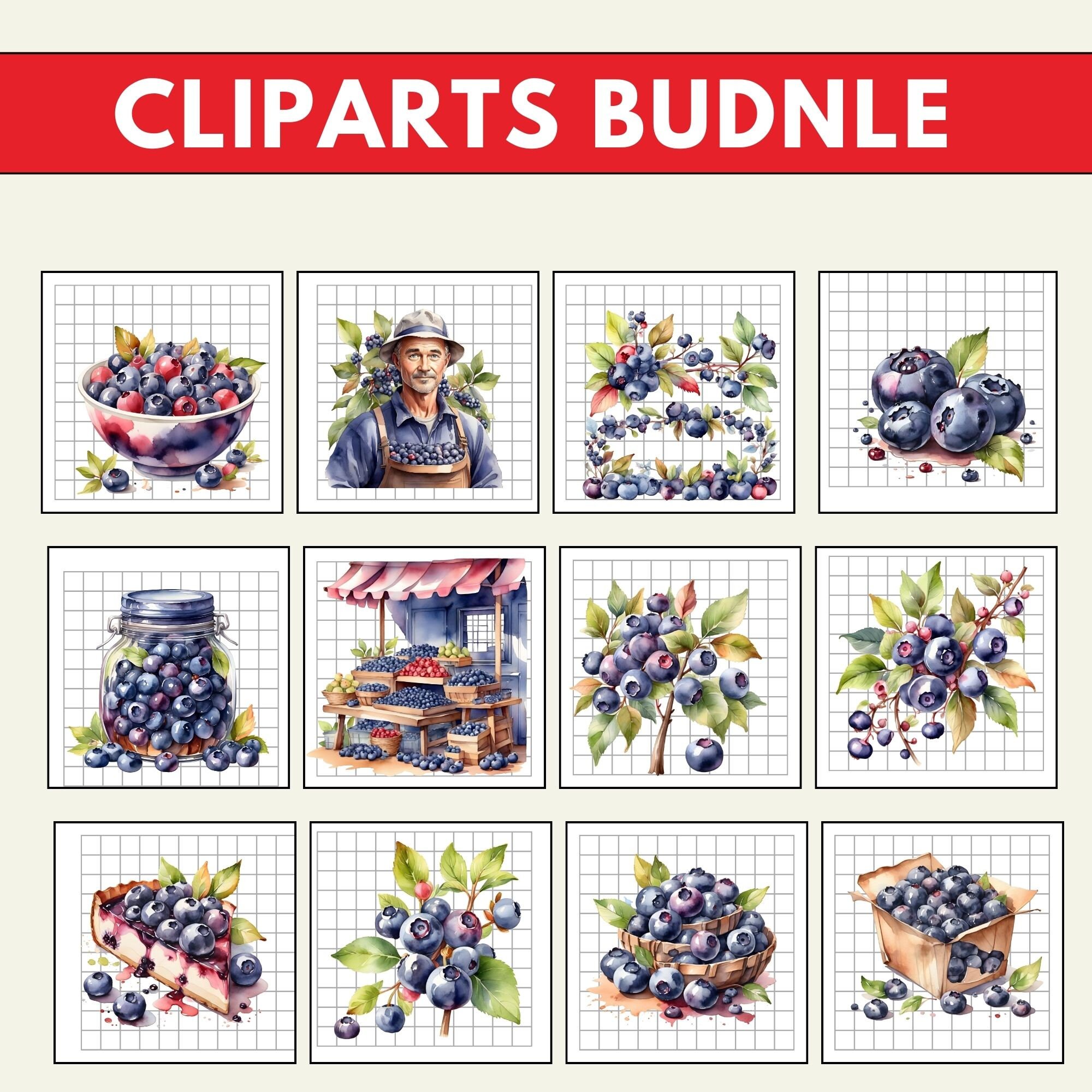 Blueberry Clipart, Delightful Blueberry PNG Bundle, 24 PNG Blueberry ...