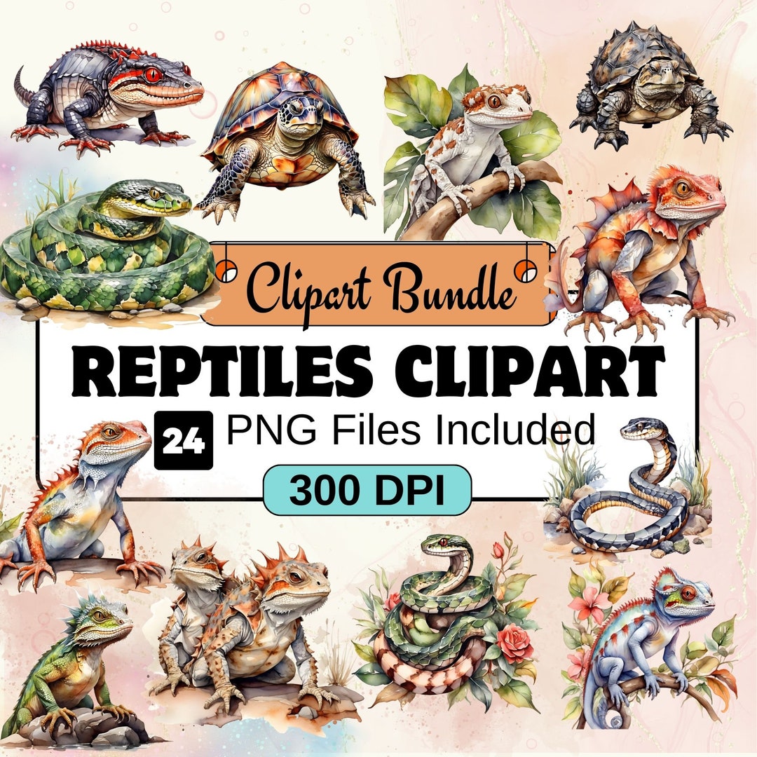 Reptiles Clipart, Animal Clipart PNG Bundle, 24 PNG Reptiles Clipart ...