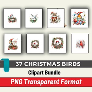 Christmas Birds Clipart, Christmas Clipart PNG Bundle, 35 PNG Christmas ...