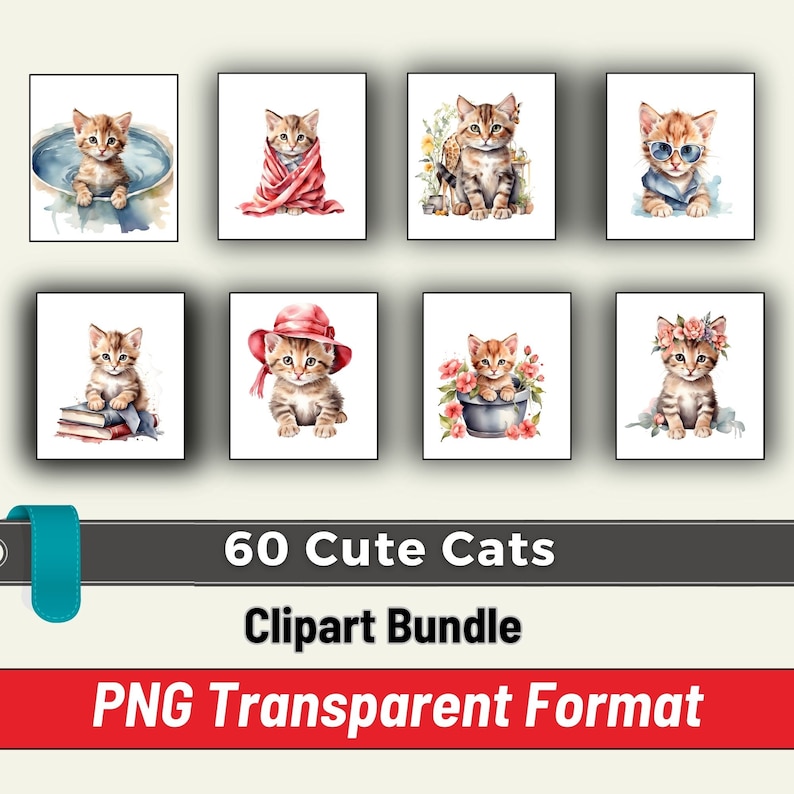 Cat Clipart, Animal Clipart PNG Bundle, 60 PNG Cat Clipart Bundle ...