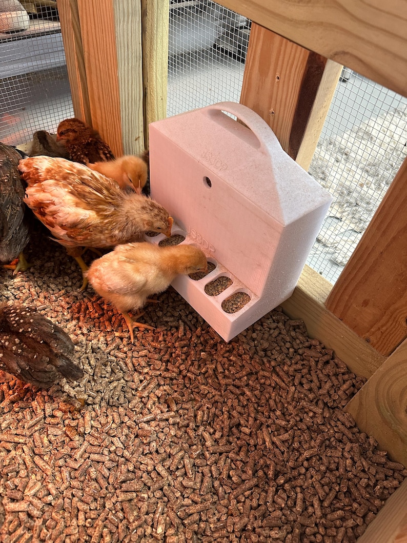 Chick/quail Feeder With Lid - Etsy