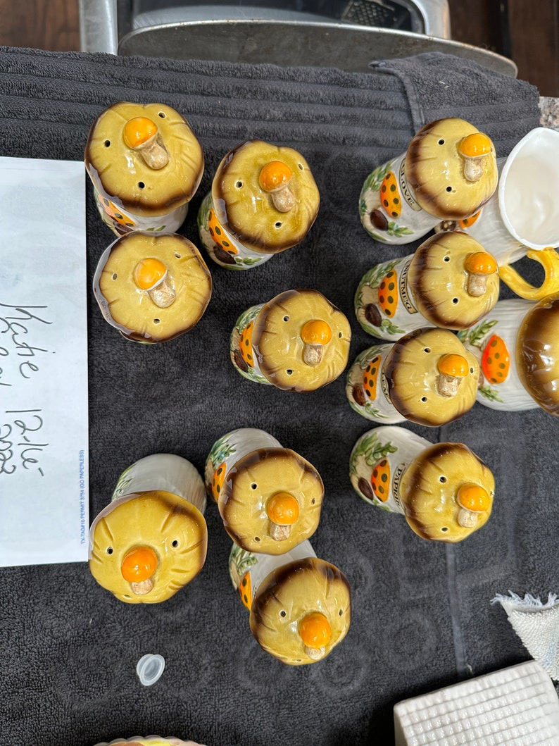 Merry Mushroom Spice Rack With 11 Spices - Etsy