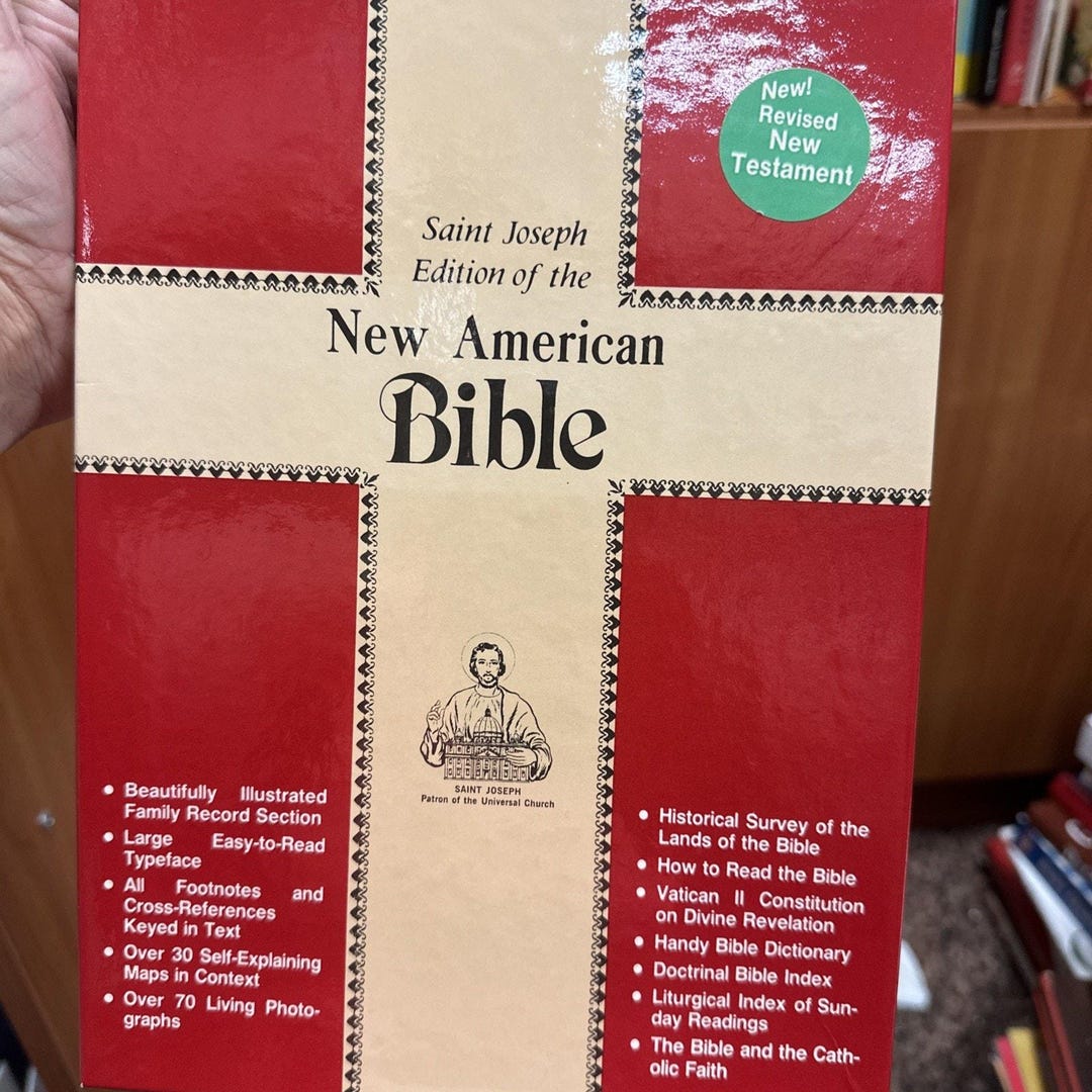 New American Bible ~ Large Typeface~illustrated Catholic Publishing ...
