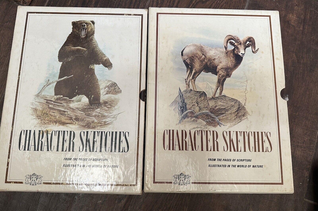 Character Sketches Volume 1 & 2 Institute in Basic Youth Conflicts Bill ...