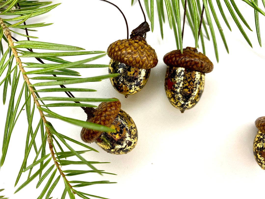 Set of 12 Natural Oak Acorns in Black and Gold Hand Painted - Etsy