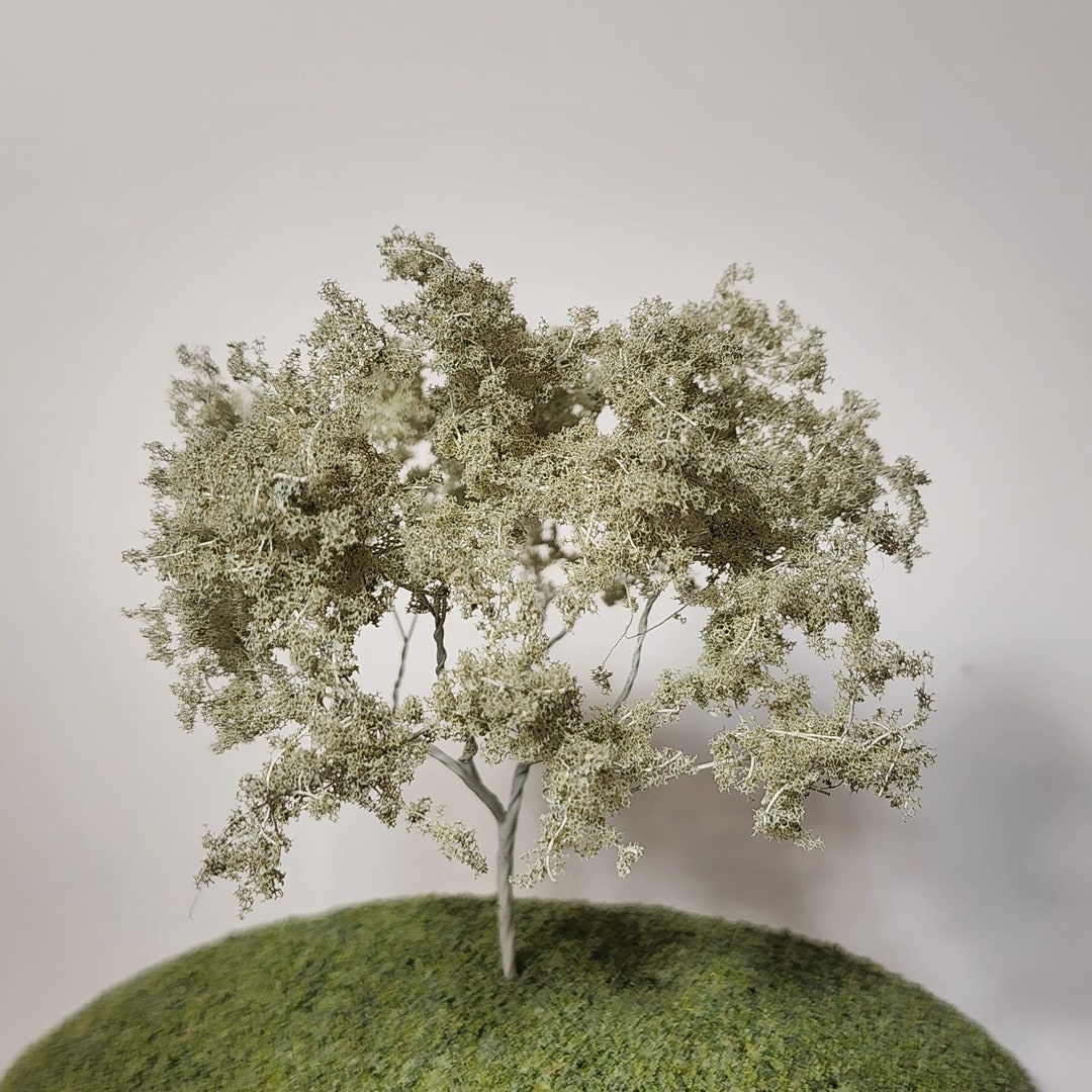 Set of 6 Realistic Usa-handmade Trees for Model Making Model 02 - Etsy