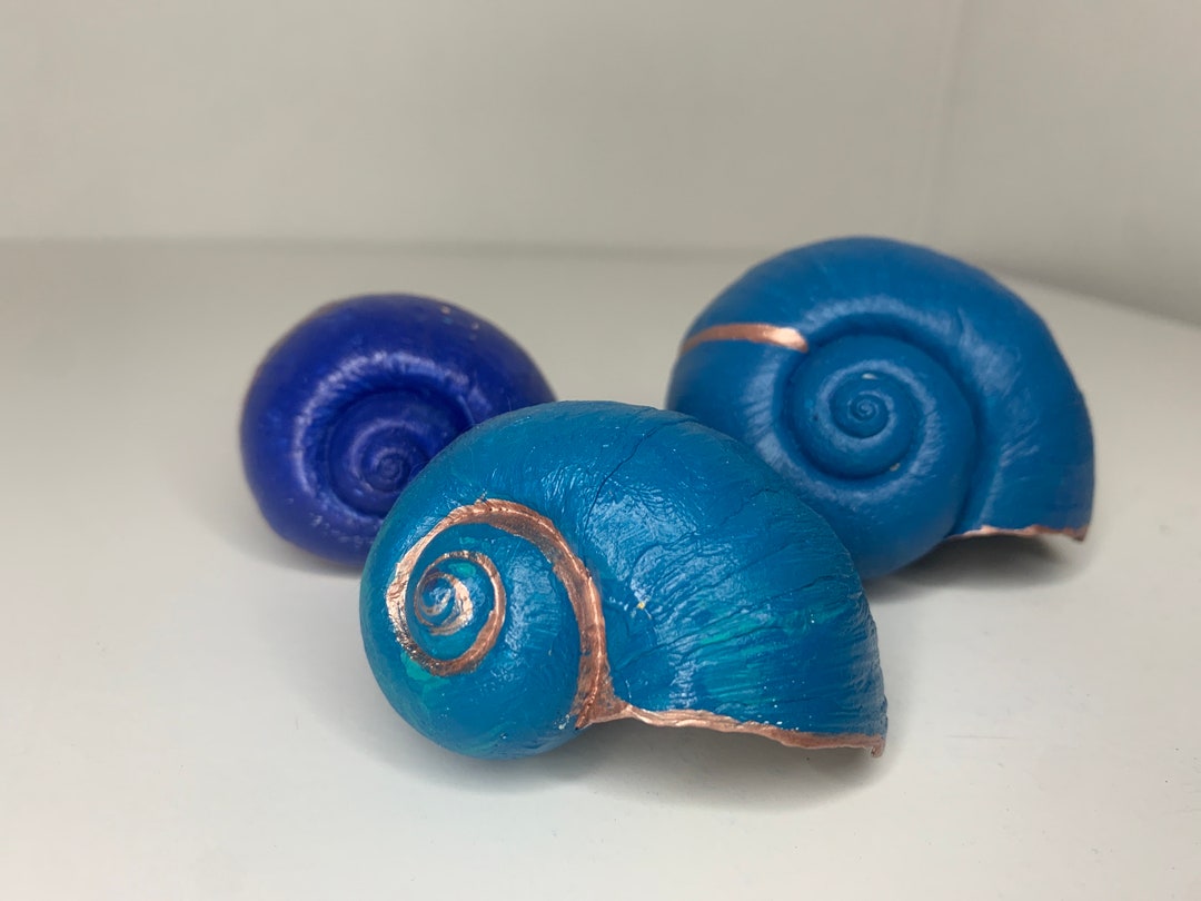 Set of 3 Painted Apple Snail Shells - Etsy