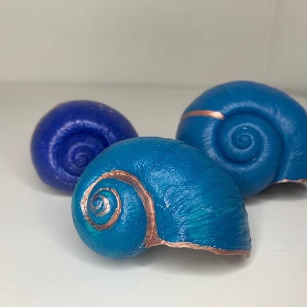 Apple Snail Shell - Etsy