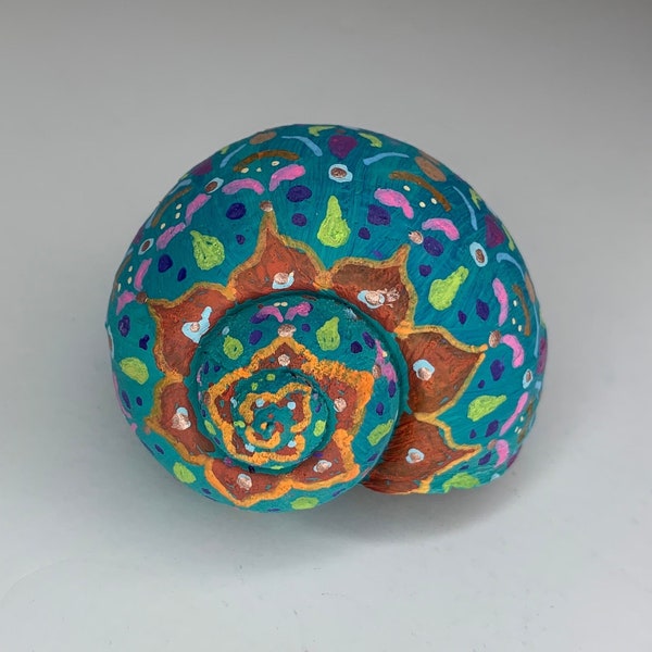 Apple Snail Shell - Etsy