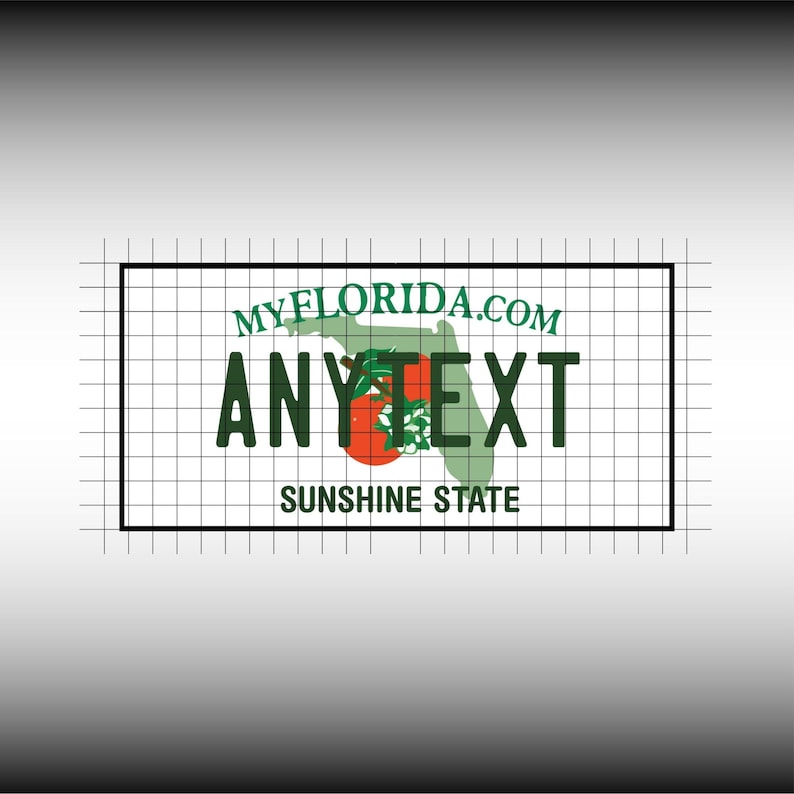 Florida FL USA Blank License Plate Inspired Downloadable Printable High ...