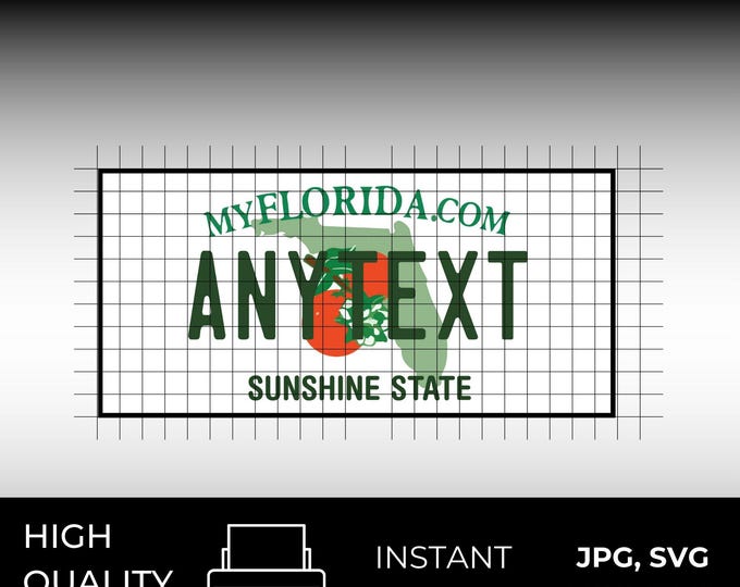 Florida FL USA Blank License Plate Inspired Downloadable Printable High ...