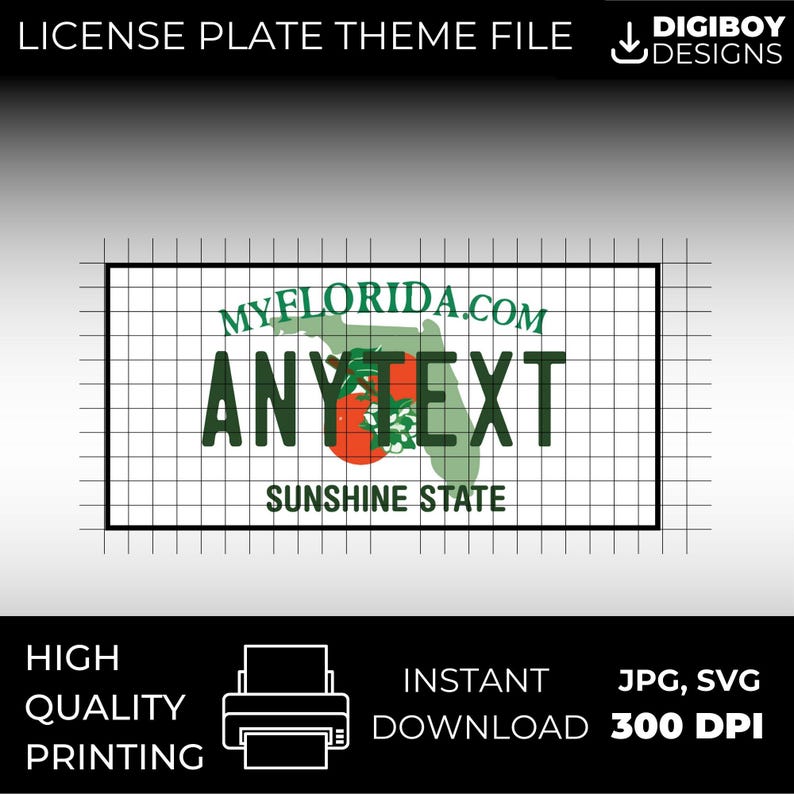 Florida FL USA Blank License Plate Inspired Downloadable Printable High ...