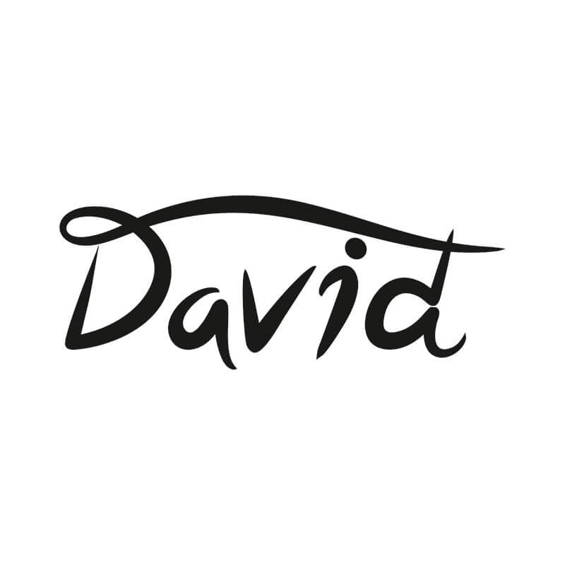 David Name Vector, David Vector for Sticker, Name Vectors, David, David ...