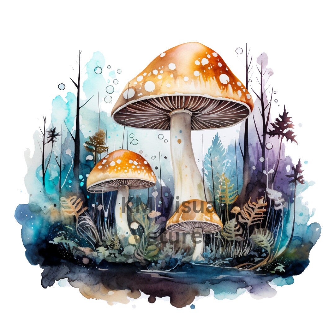 Watercolor Magic Mushrooms Clipart PNG Fantasy Magic Mushroom, Witch ...