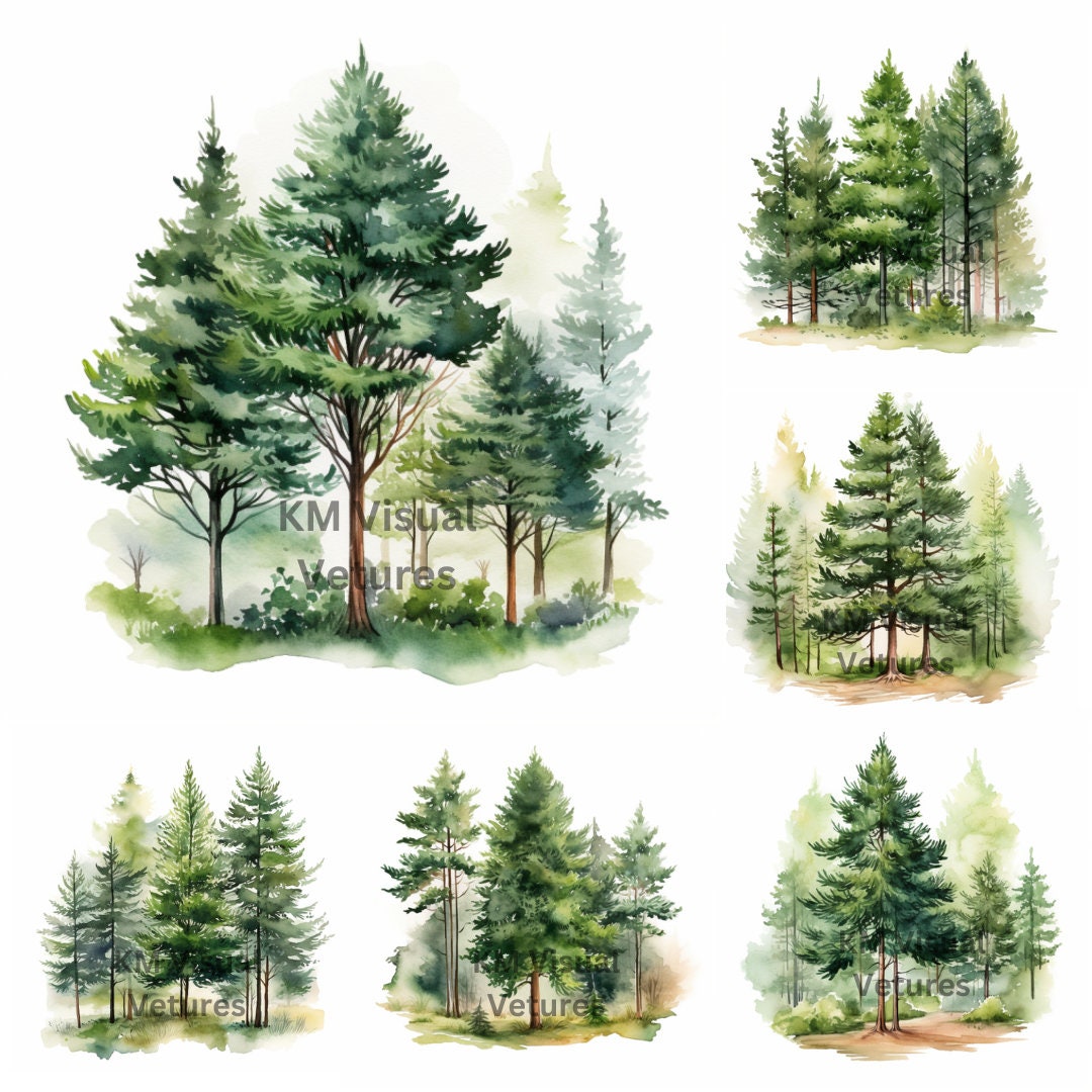 Set of 20 Watercolor Forest Tree Clipart Pine Tree Png Woodland Tree ...