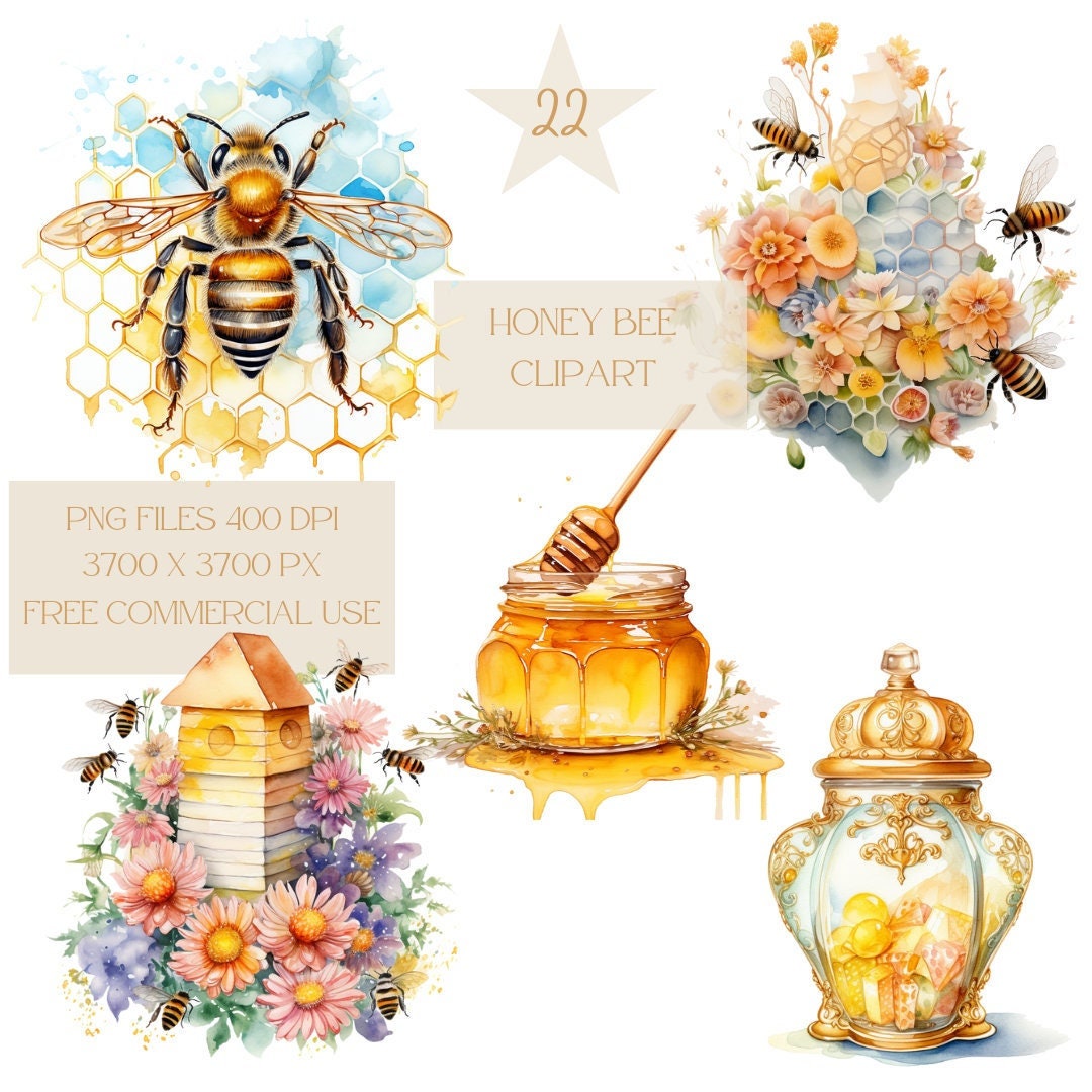 Watercolor Honey Bee Clipart PNG, Boho Spring Garden Bee and Honey ...