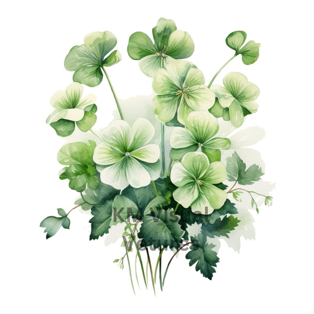Watercolor Four Leaf Clover Clipart PNG. Grass Shamrock Heart Wreaths ...